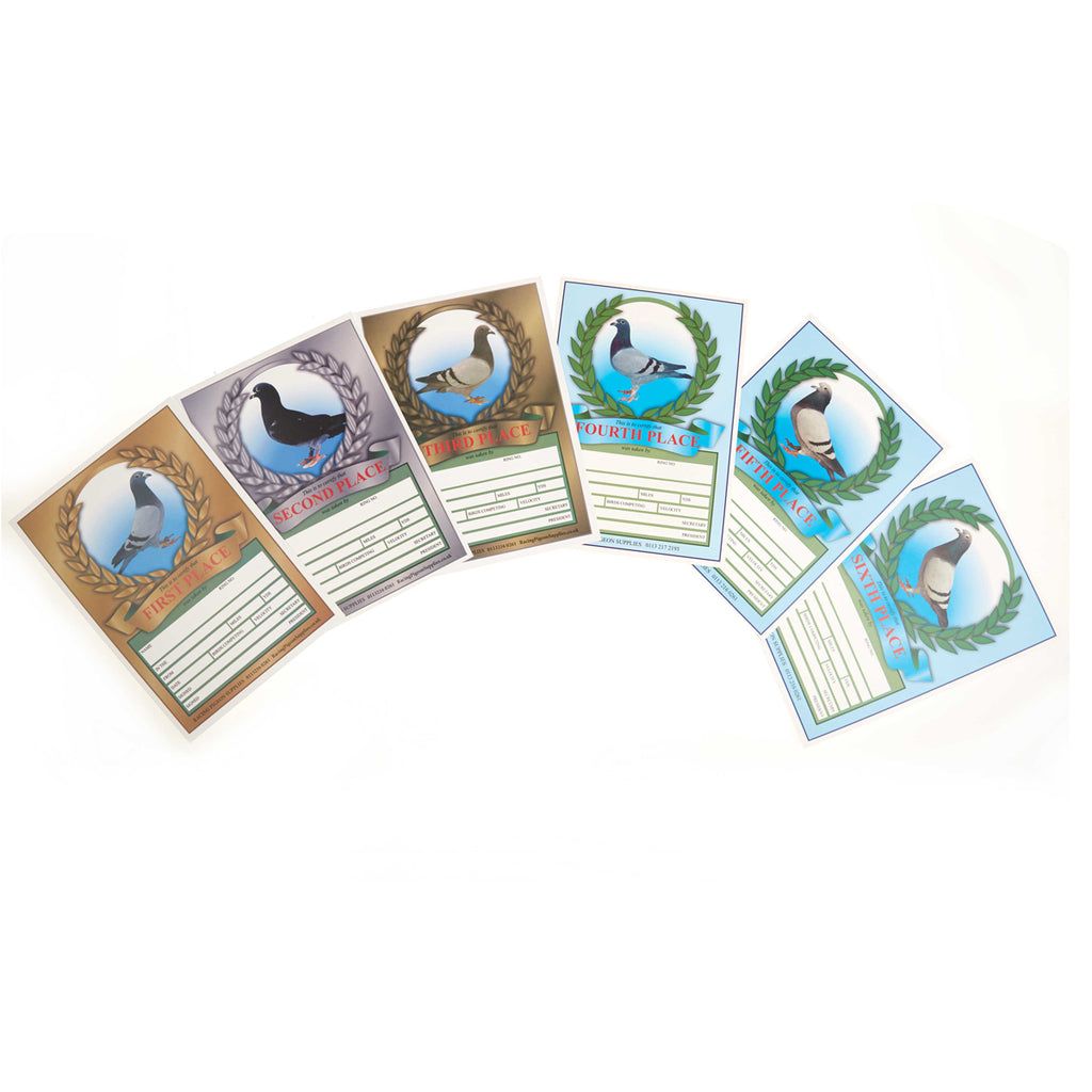 Deluxe Prize Cards